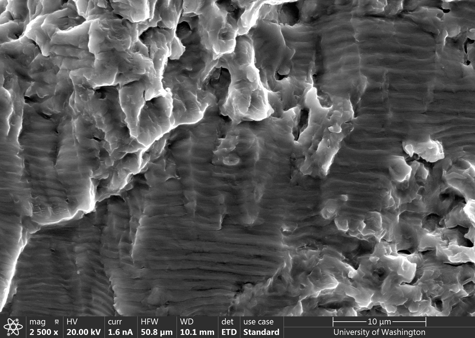 Plenty of Beauty at the Bottom 2022 | NNCI